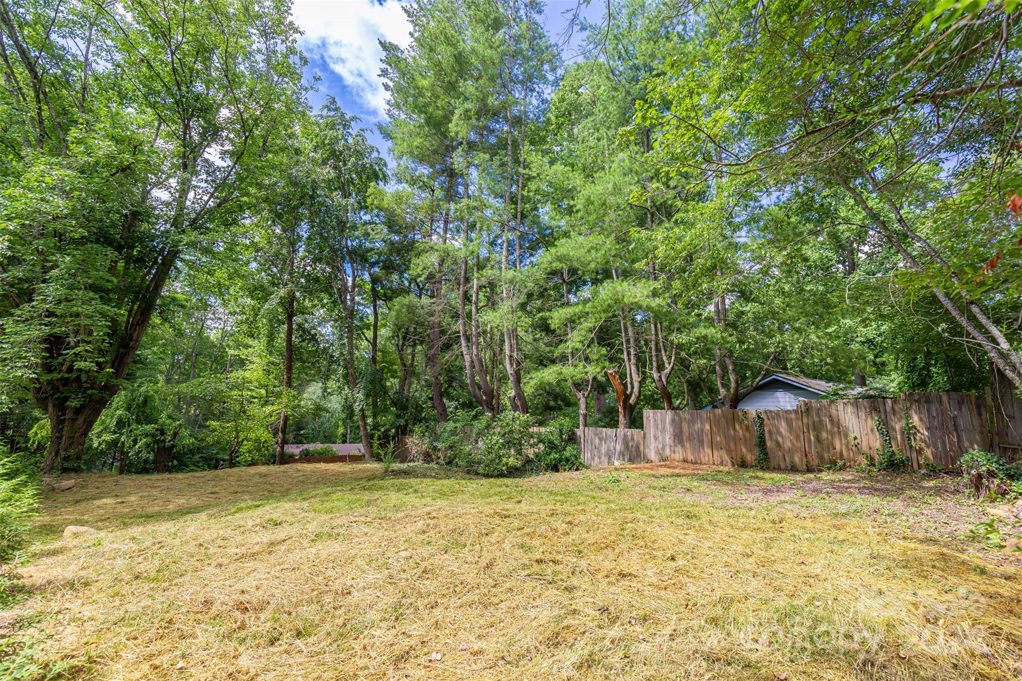 LOCAL Asheville and Western North Carolina Real Estate