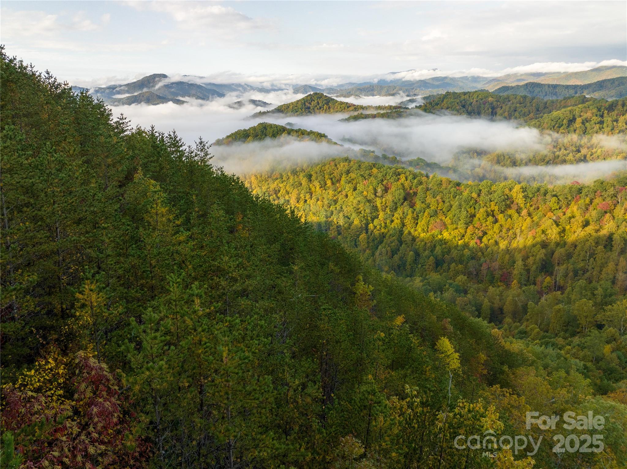 00000 Renfro Road, Green Mountain, NC 28740 | Car4331234 | Weaverville ...