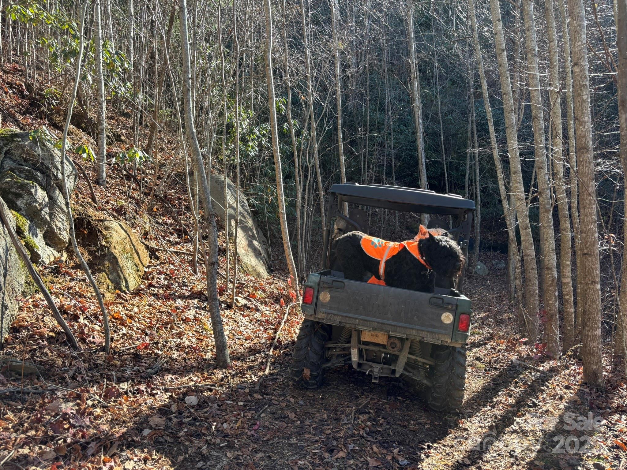 00000 Renfro Road, Green Mountain, NC 28740 | Car4331234 | Weaverville ...