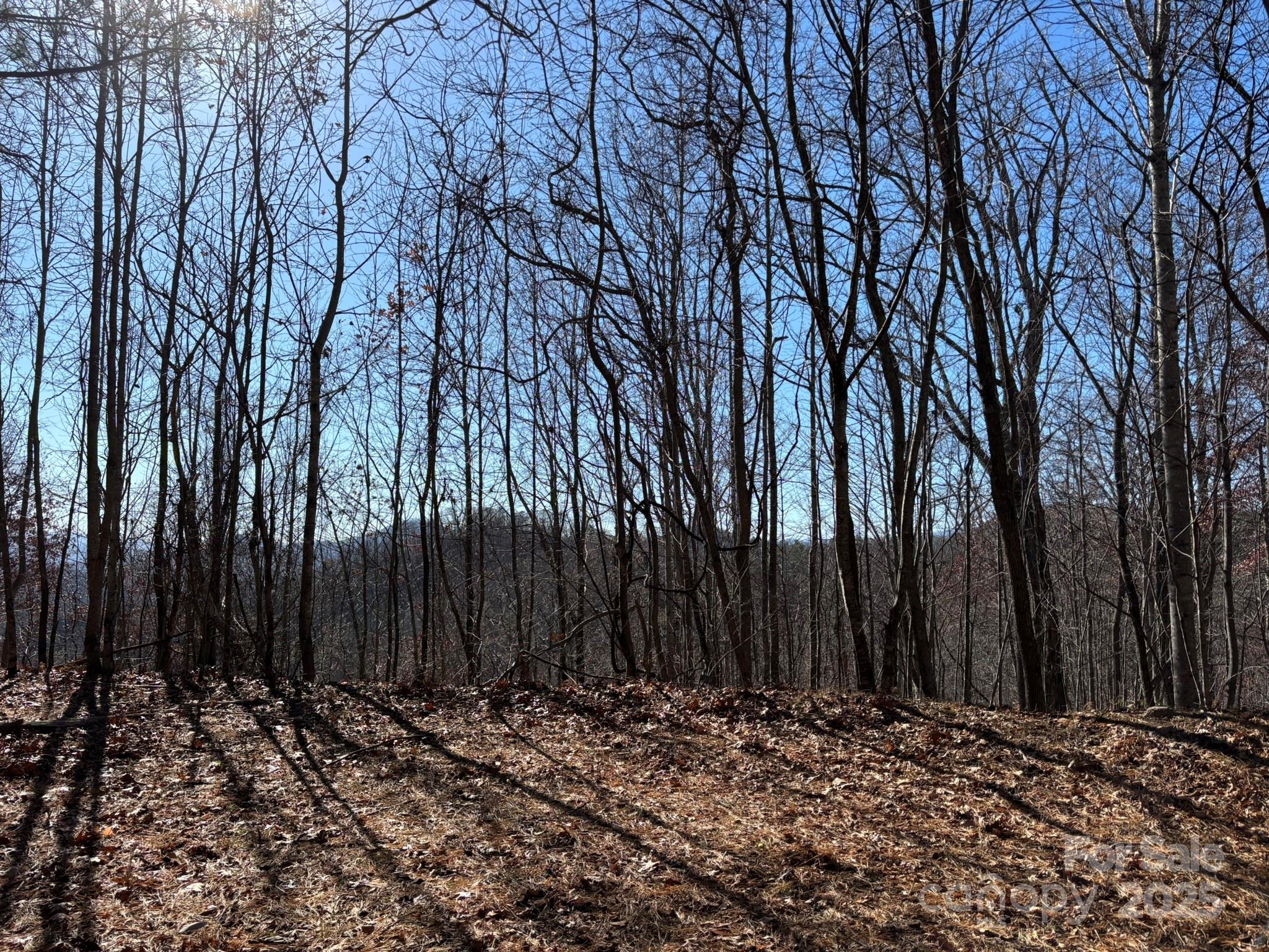 00000 Renfro Road, Green Mountain, NC 28740 | Car4331234 | Weaverville ...