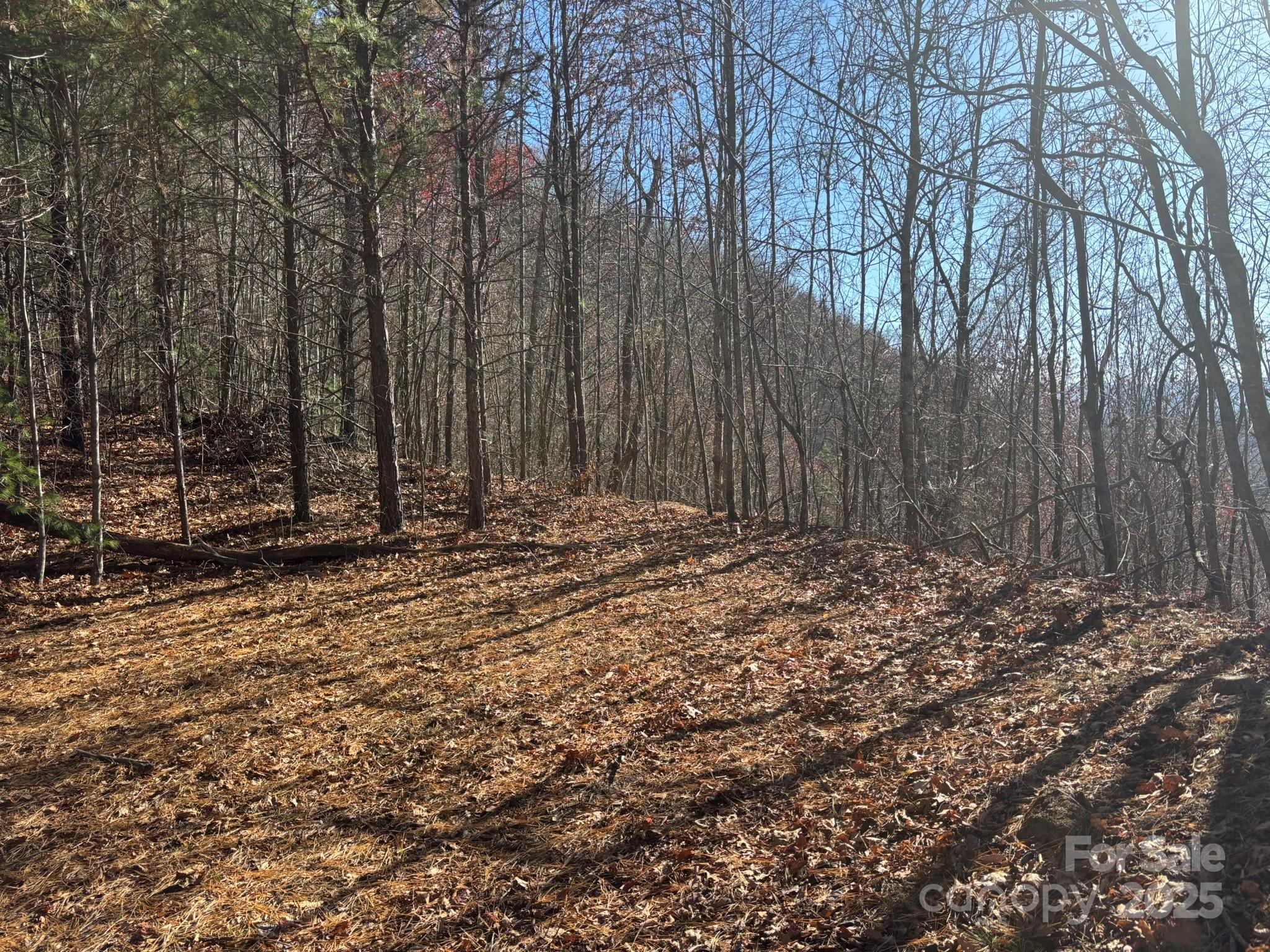 00000 Renfro Road, Green Mountain, NC 28740 | Car4331234 | Weaverville ...