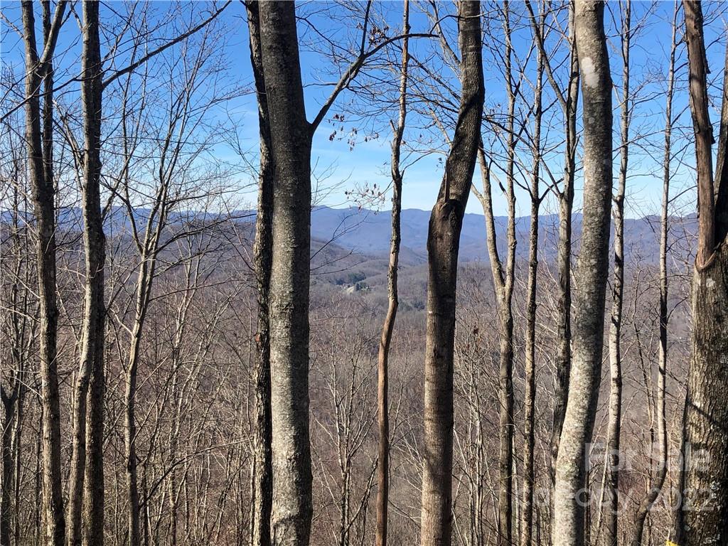 LOCAL Asheville and Western North Carolina Real Estate