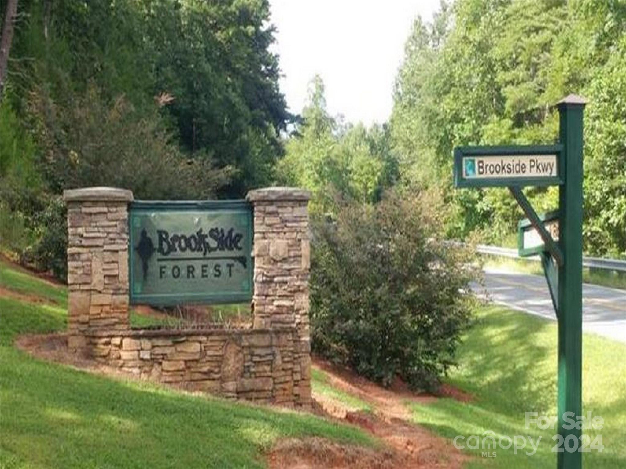00 Brookside Parkway, Lake Lure, NC 28746 | Car4142453 | Mosaic ...