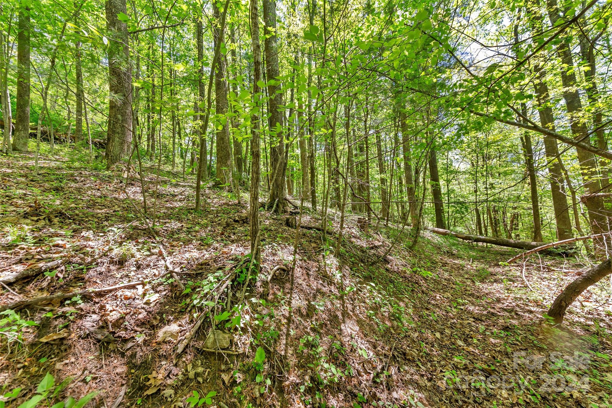 0000 Gouges Creek Road, Spruce Pine NC