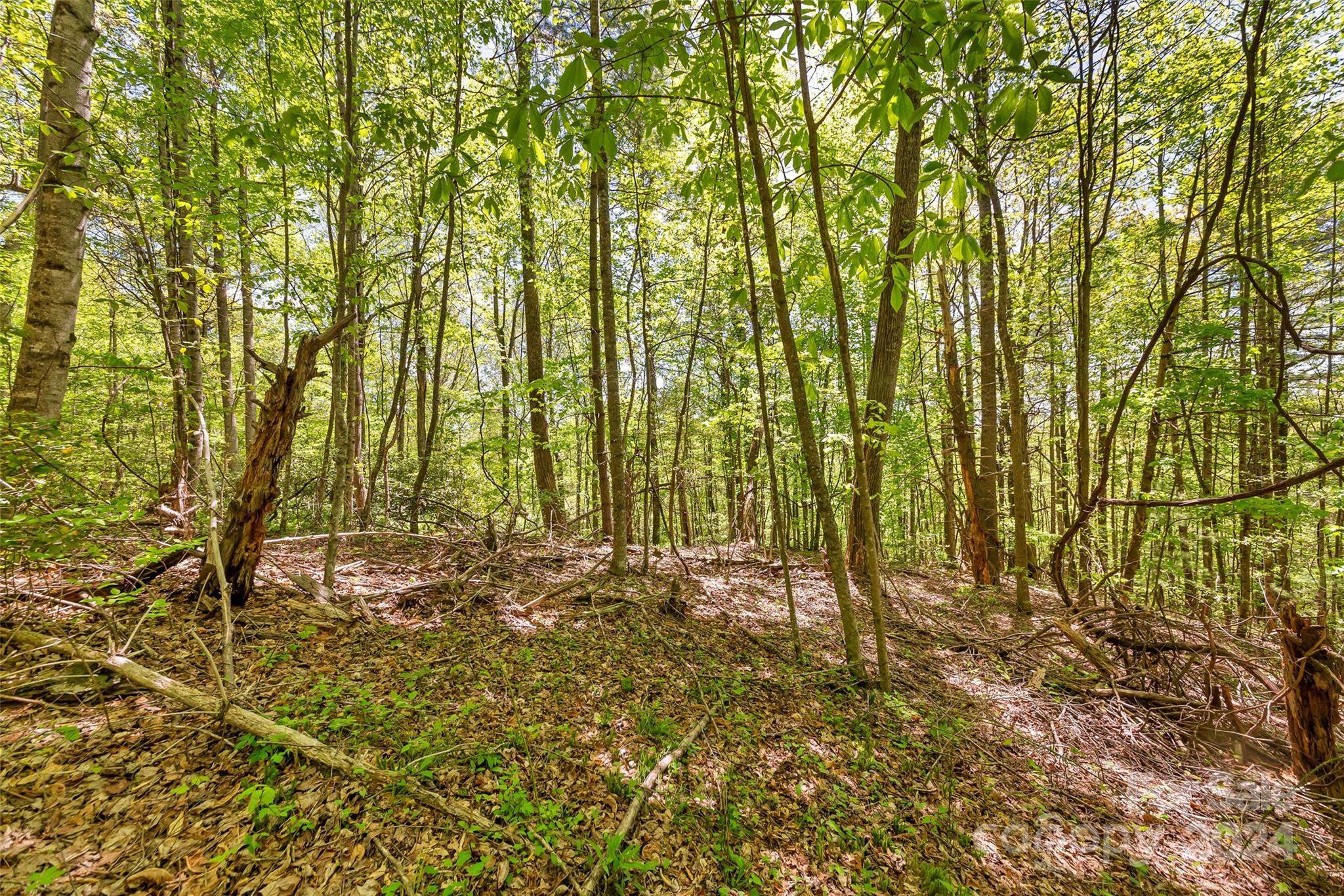 0000 Gouges Creek Road, Spruce Pine NC