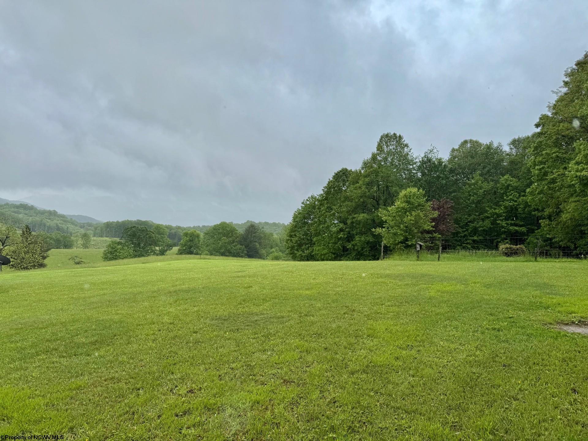 1209 Wolf Run Road, Hambleton, WV | 10159760 | Railey Realty