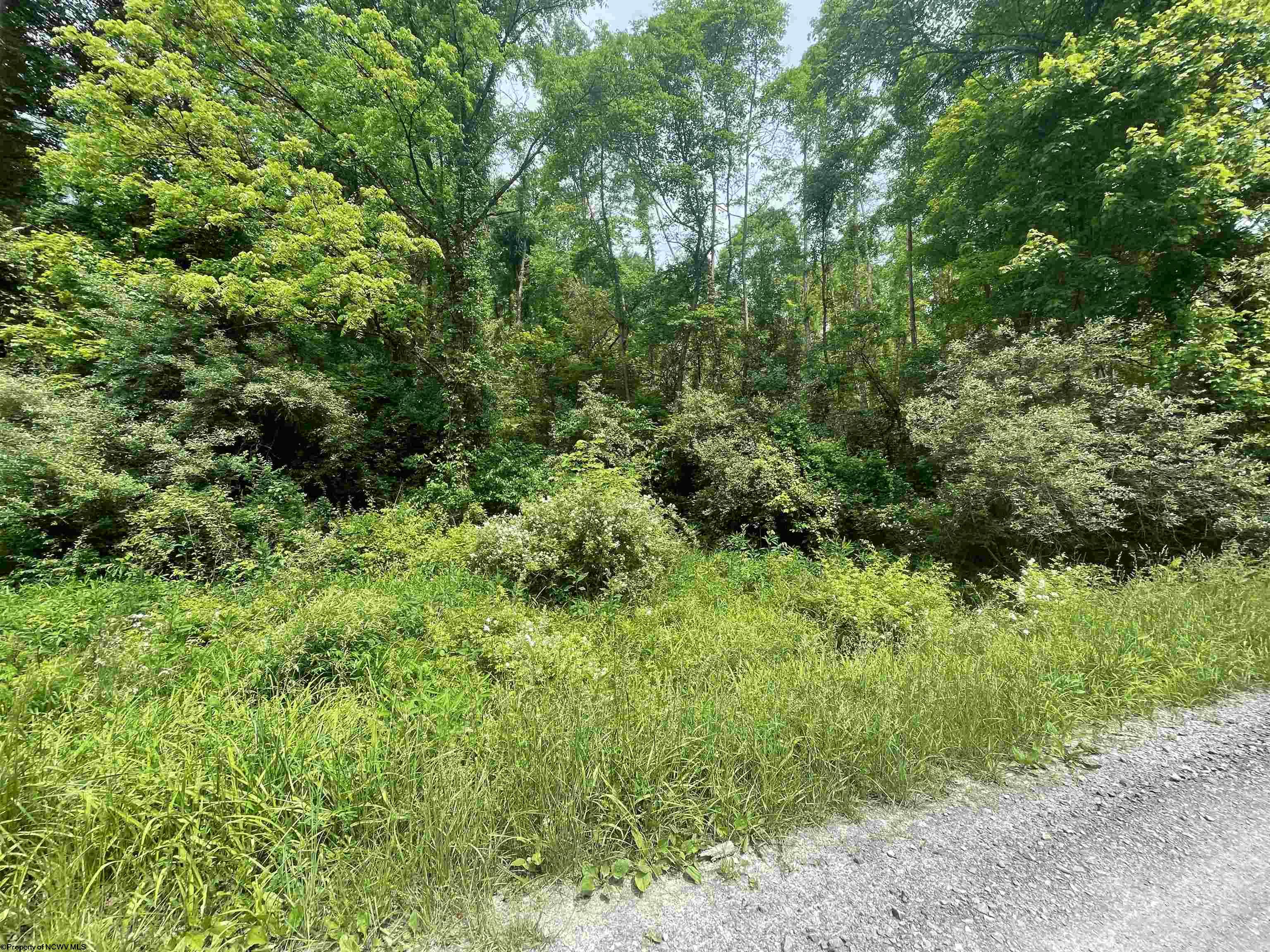 0 River Run Road, Grafton, WV | 10154458 | Railey Realty