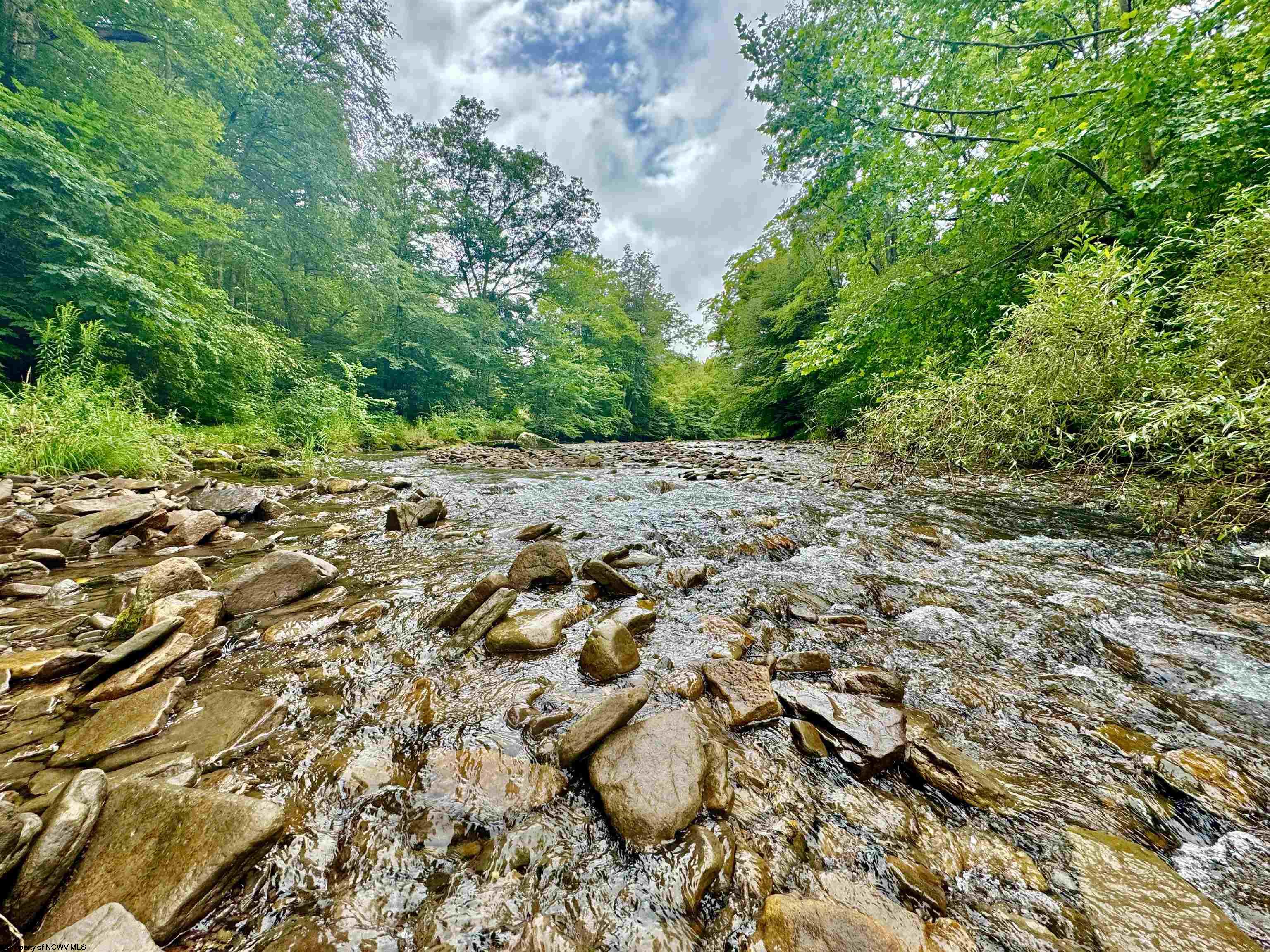 0 Route 29 Road, Harman, WV | 10156100 | Railey Realty