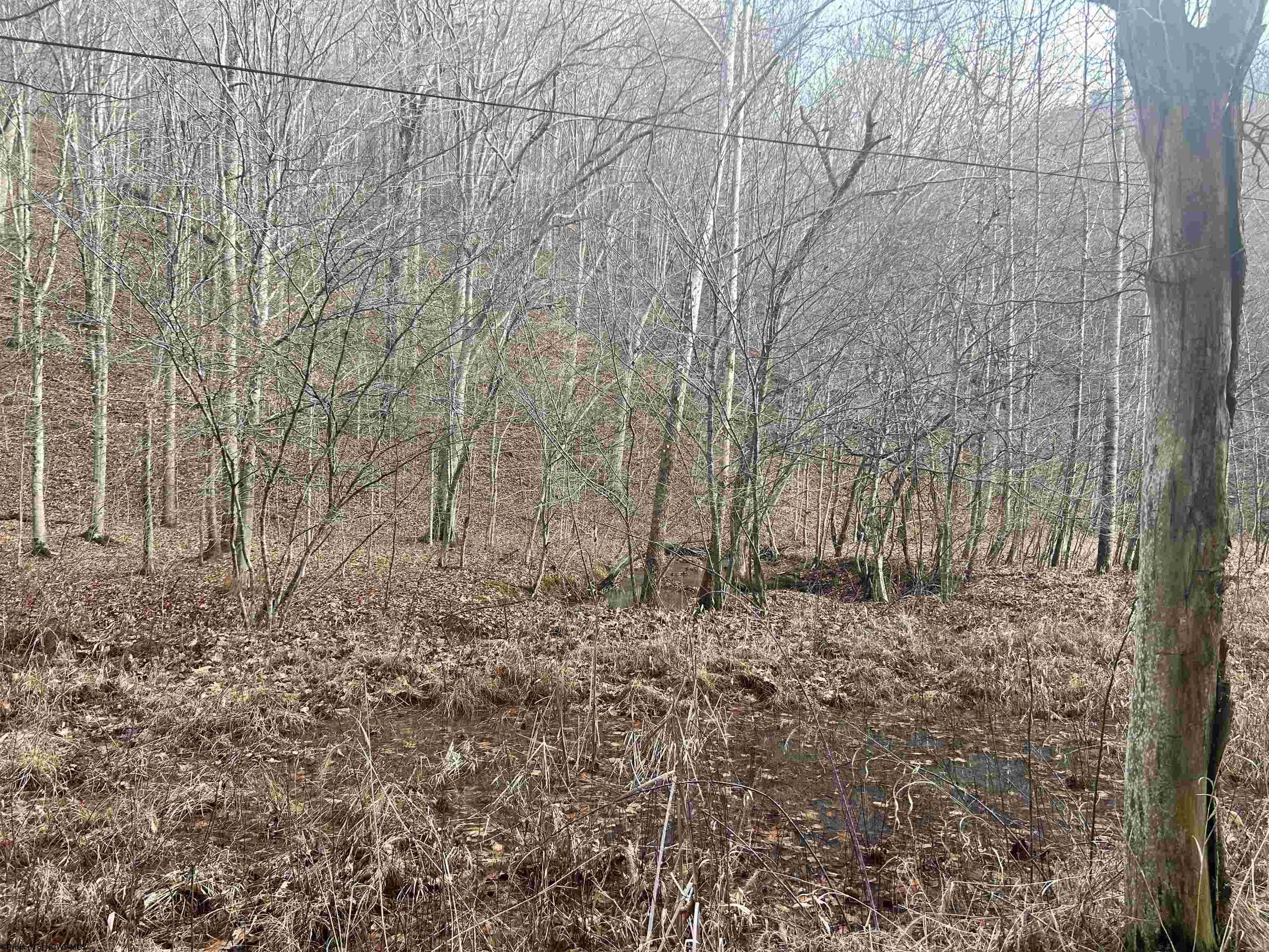 0 Blue Lick Road, West Hamlin, WV | 10147266 | Railey Realty