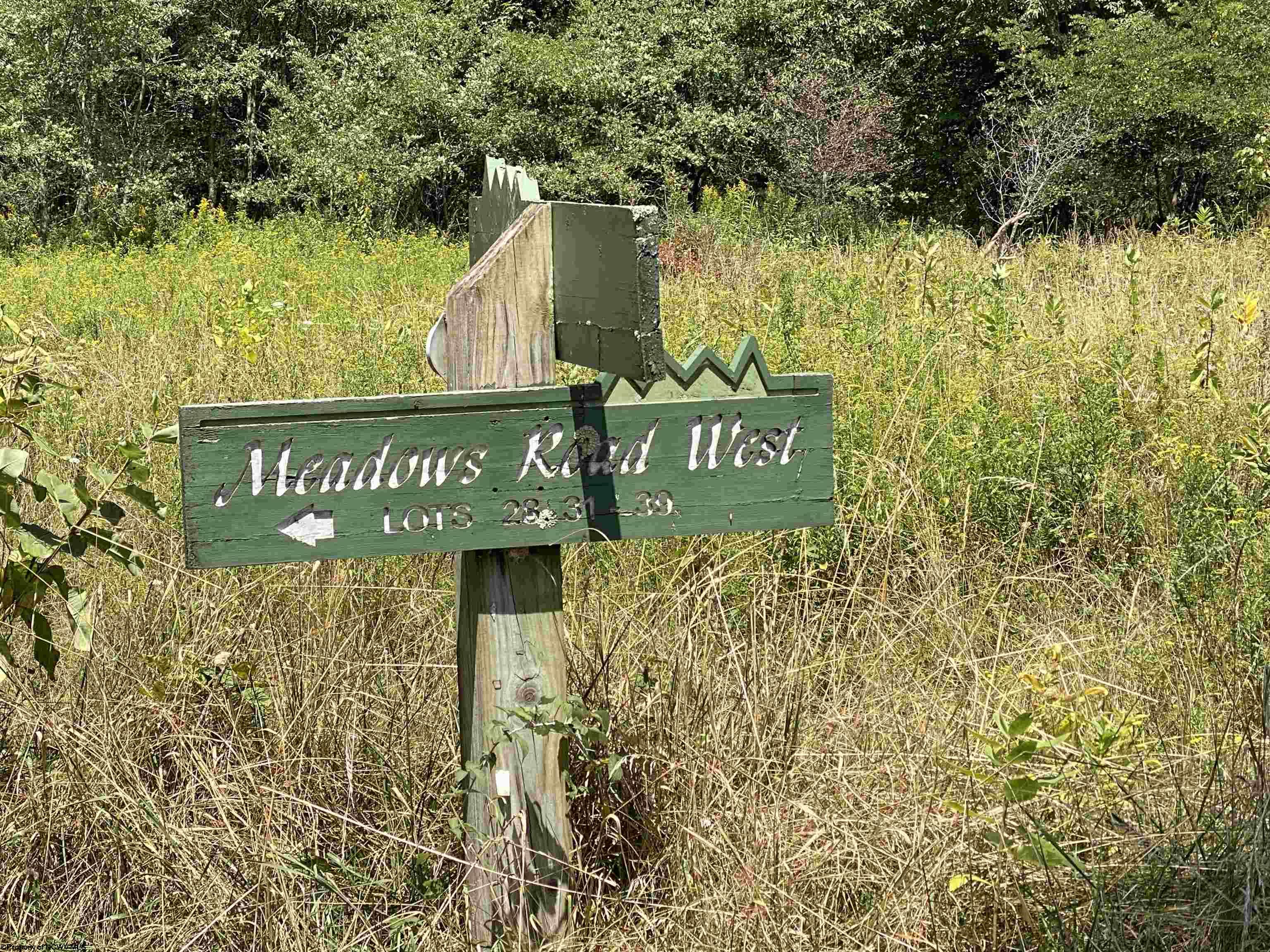 38 Meadows Road West, Harman, WV | 10156216 | Railey Realty