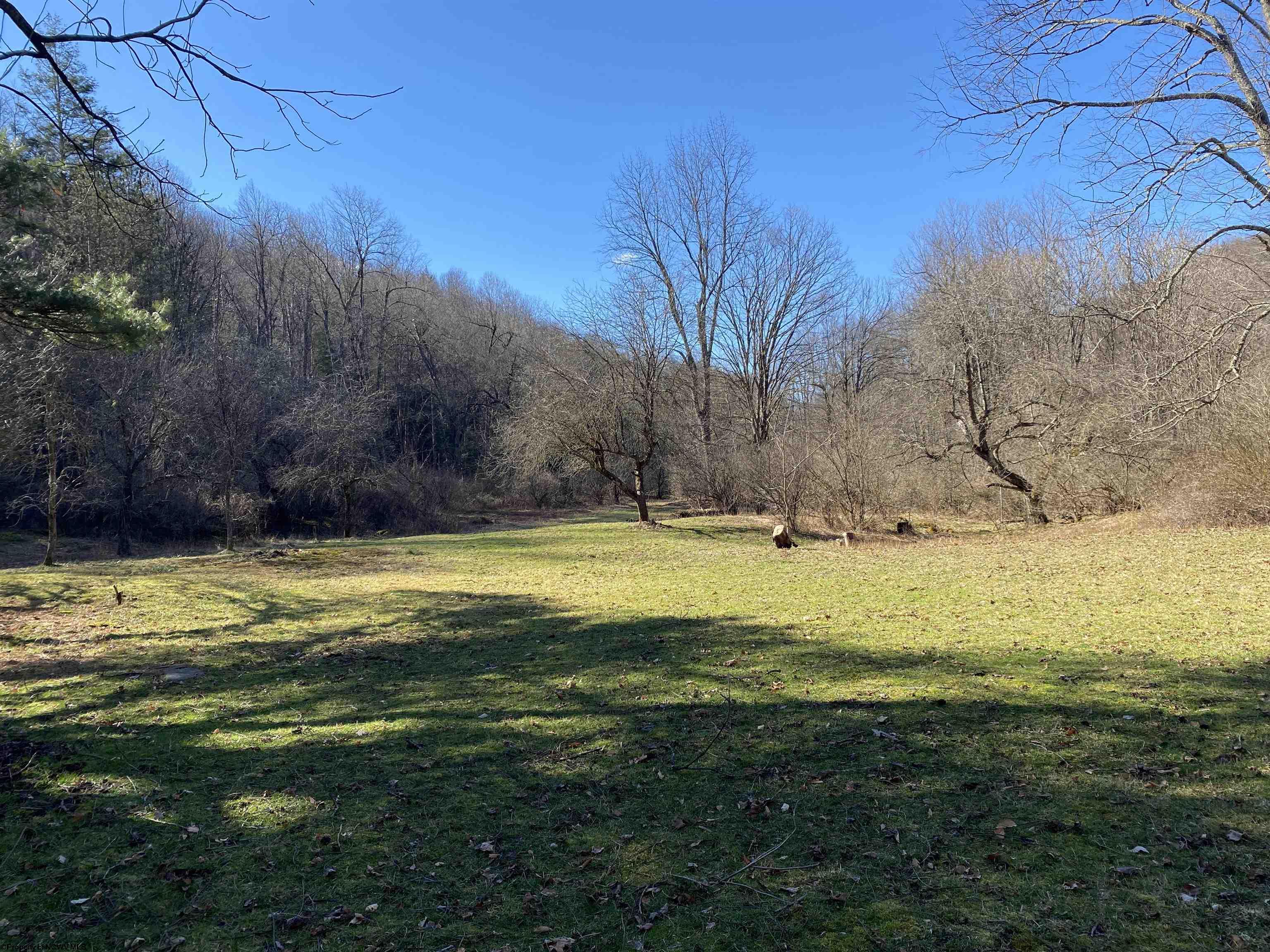 0 Lime Hollow Road, St. George, WV | 10153206 | Railey Realty