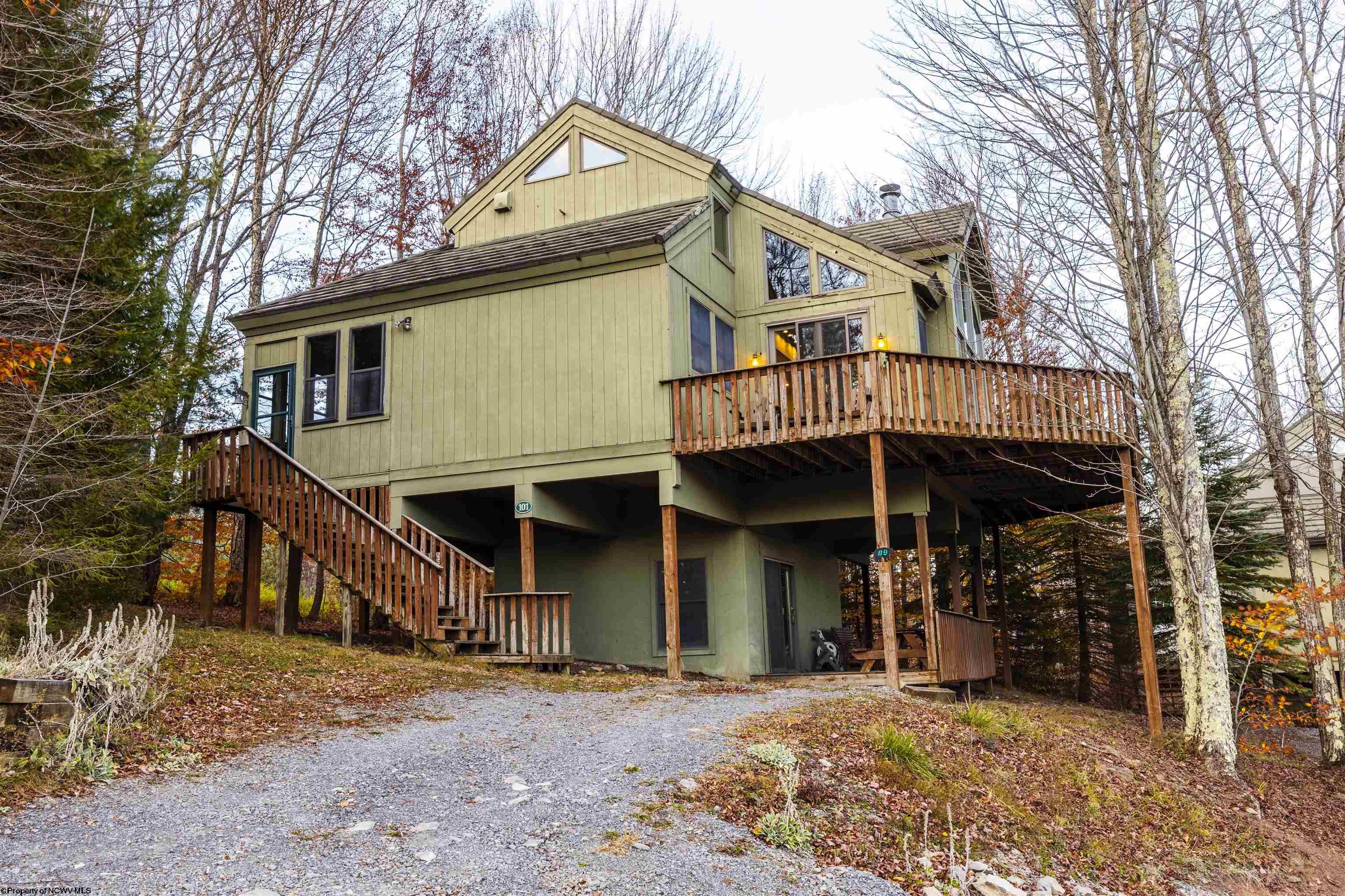 101 Treetop Lane, Davis, WV | 10162367 | Railey Realty